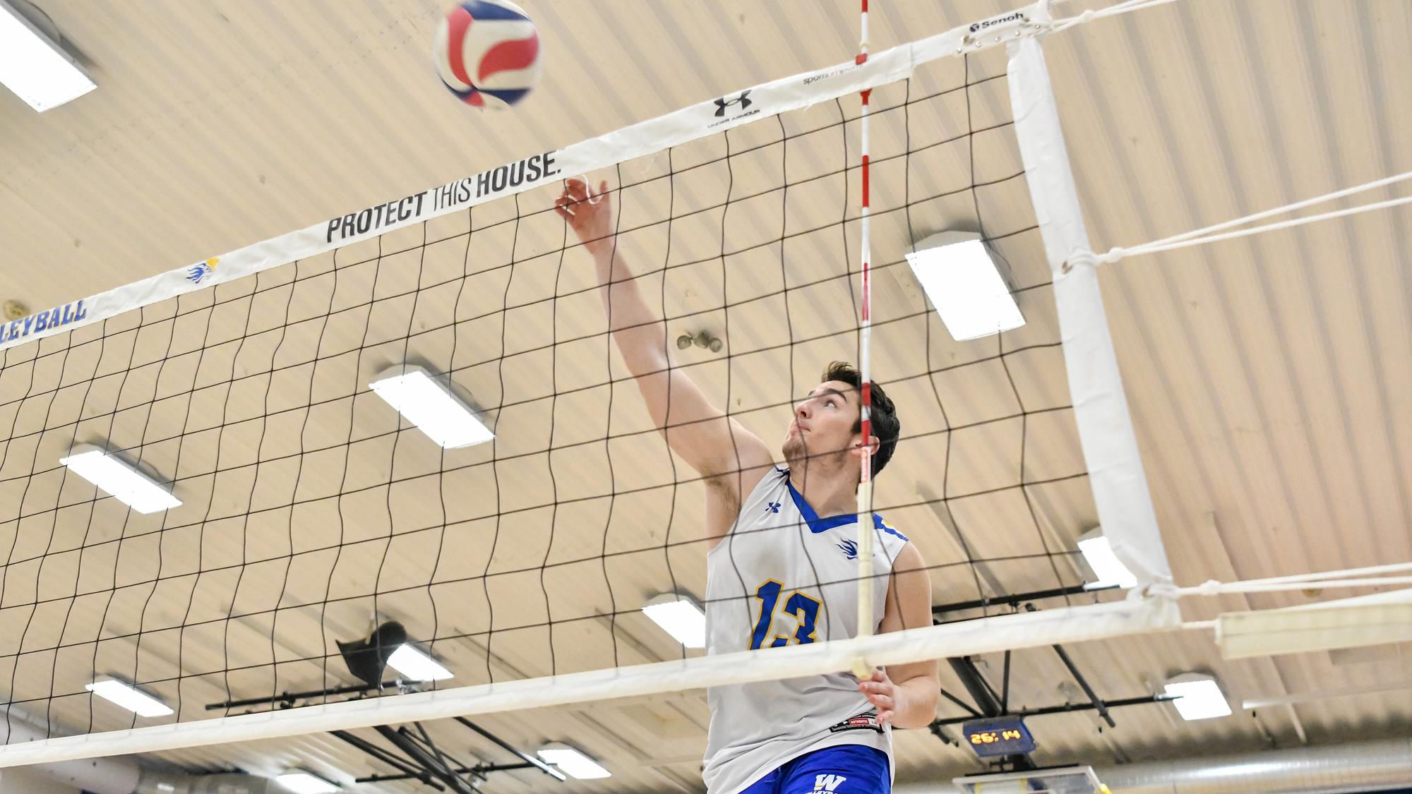 Wil Cacciatore - 2020 - Men's Volleyball - Widener University Athletics