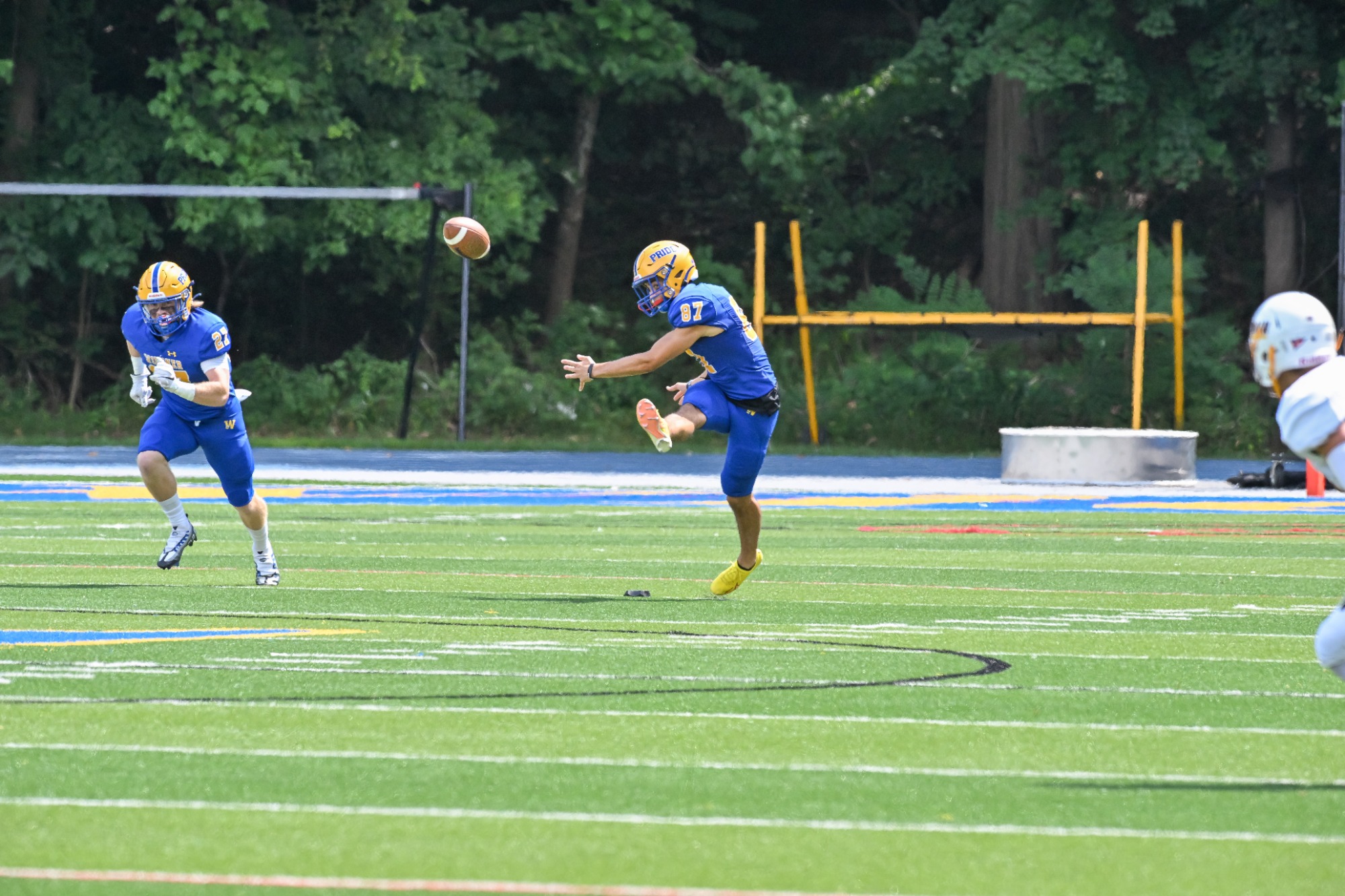 Football Battles Hard Against Lycoming - Widener University Athletics