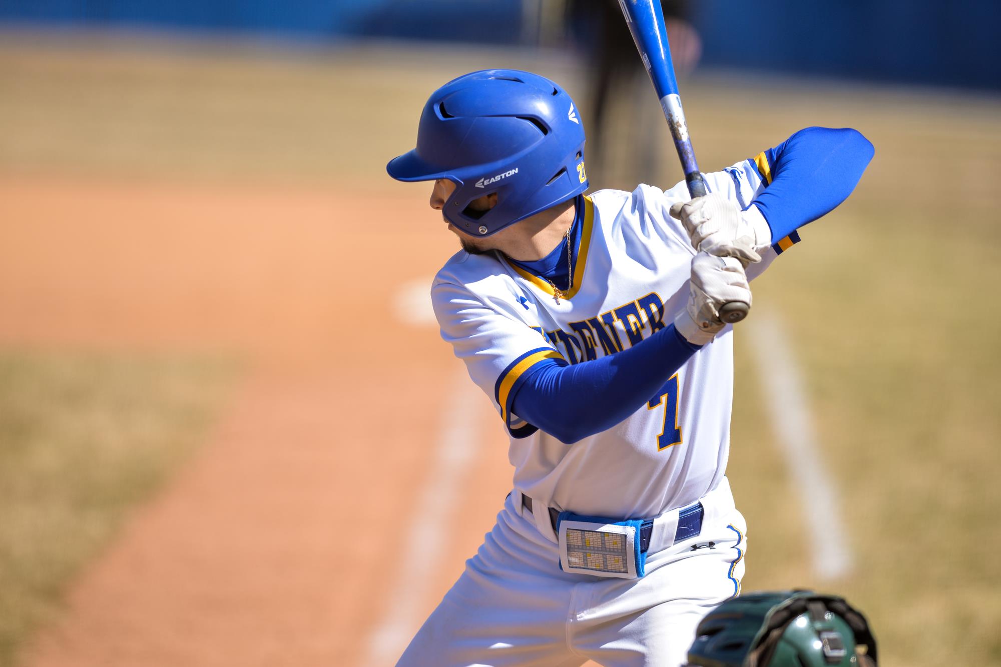 Anthony Boccio - 2023 - Baseball - Widener University Athletics