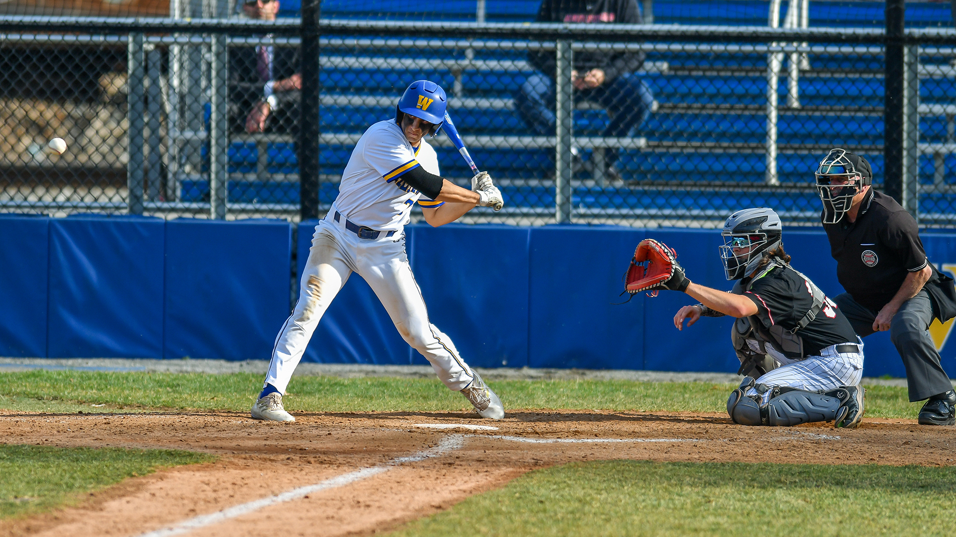 Anthony Boccio - 2023 - Baseball - Widener University Athletics