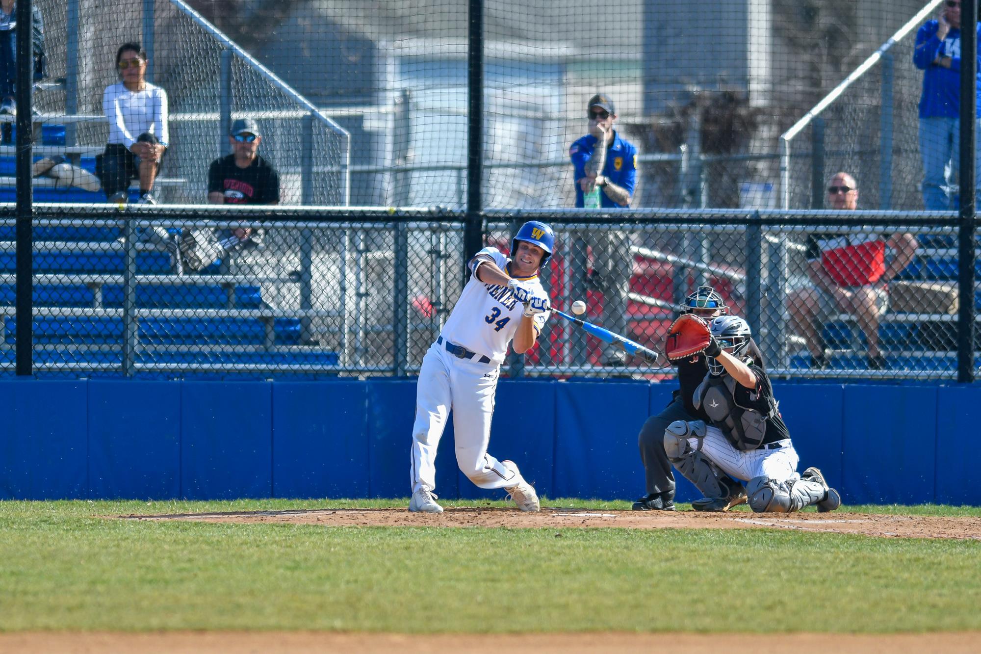 Justin Costanzo - 2023 - Baseball - Widener University Athletics