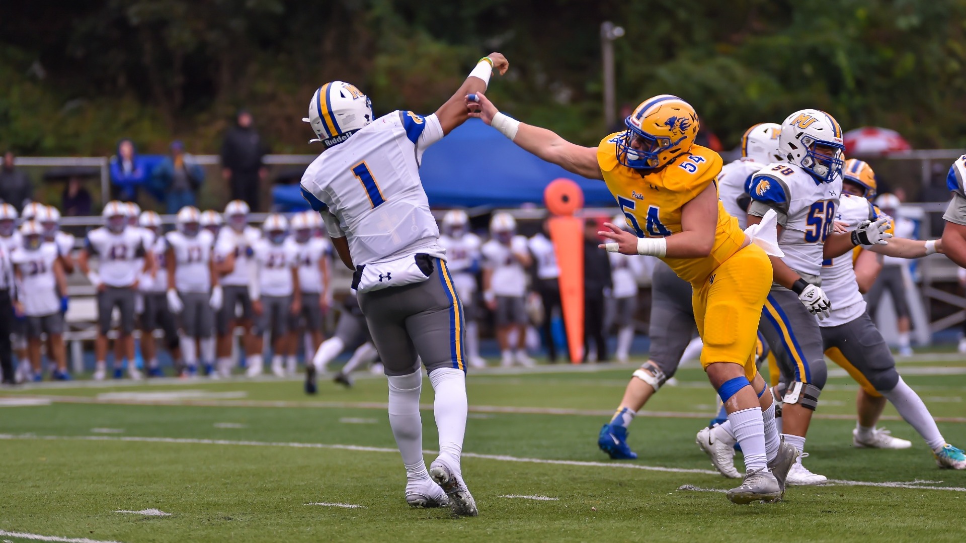 Widener Football Topples Albright for Fifth Win of Season - Widener ...