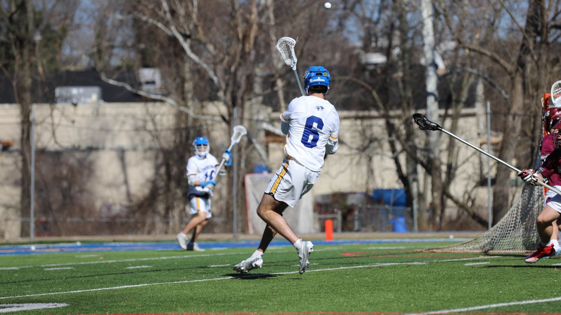 Connor Heisman - 2023 - Men's Lacrosse - Widener University Athletics