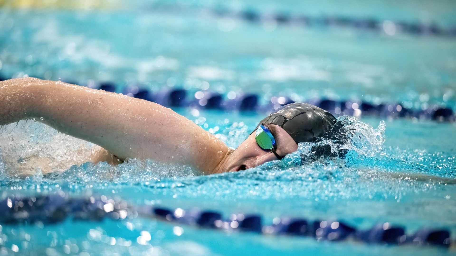 Gavin Franklin - 2023-24 - Men's Swimming - Widener University Athletics