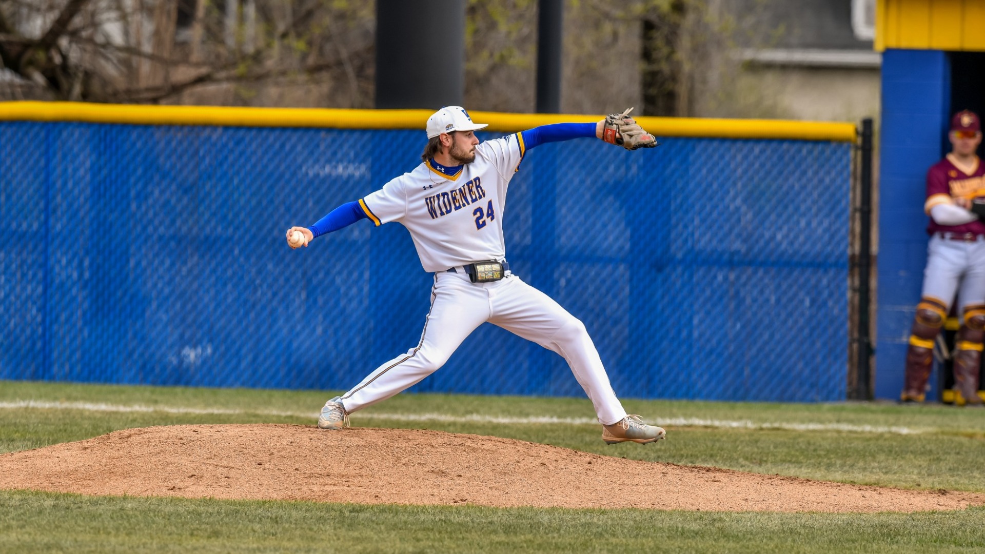 Widener Baseball Splits with Albright Lions in Harry Miller Dedication ...