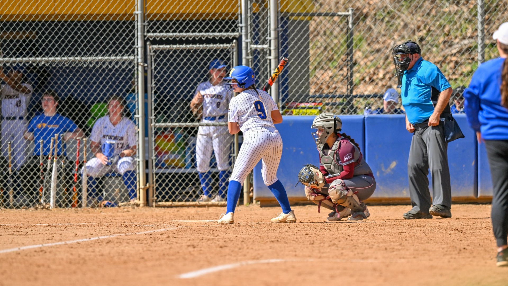 Widener Softball Takes Tough Losses Despite Strong Hitting - Widener ... Widener Softball Takes Tough Losses Despite Strong Hitting - Widener ...