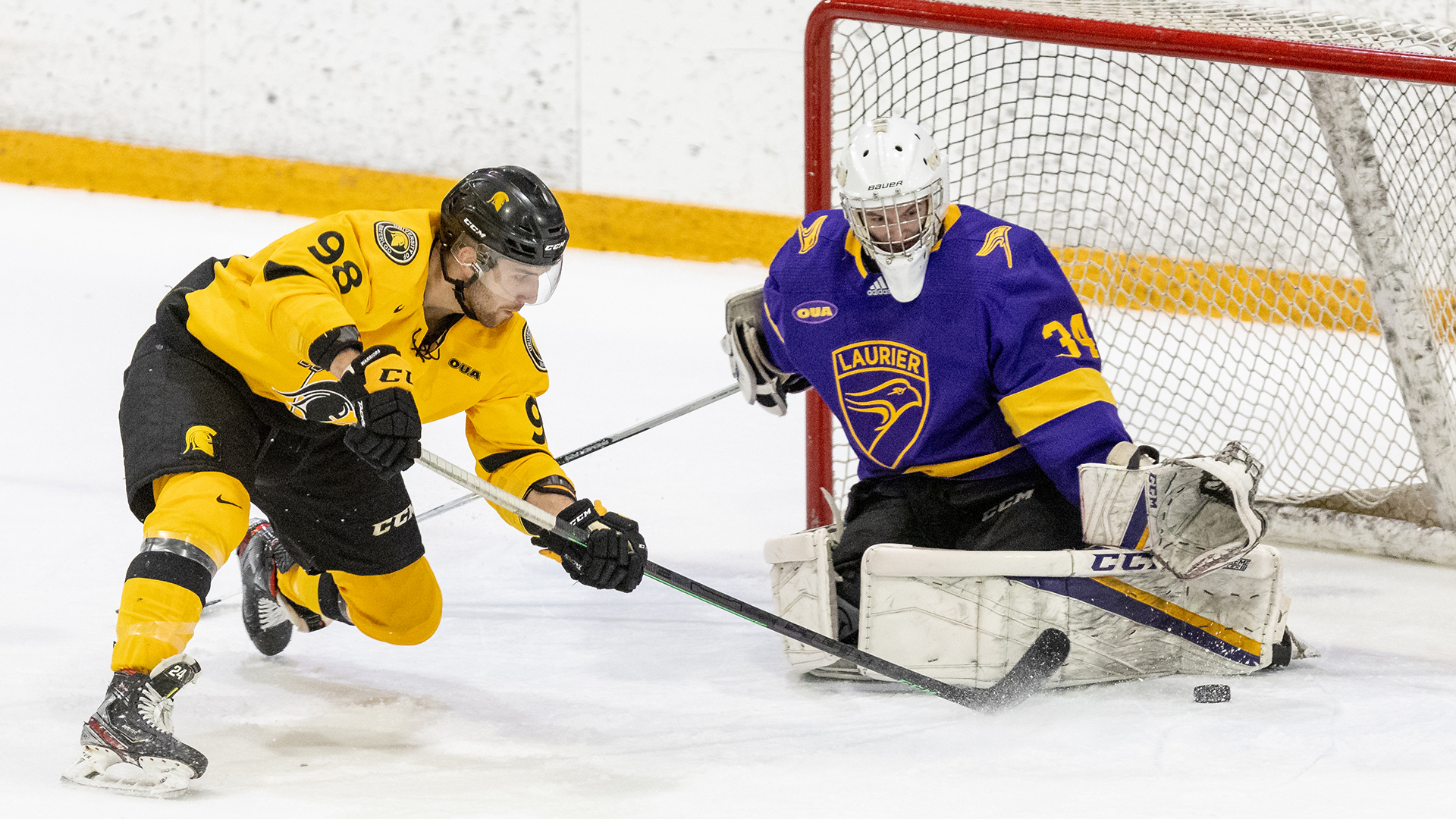 Seniors celebrated with victory in the Battle of Waterloo - Laurier ...