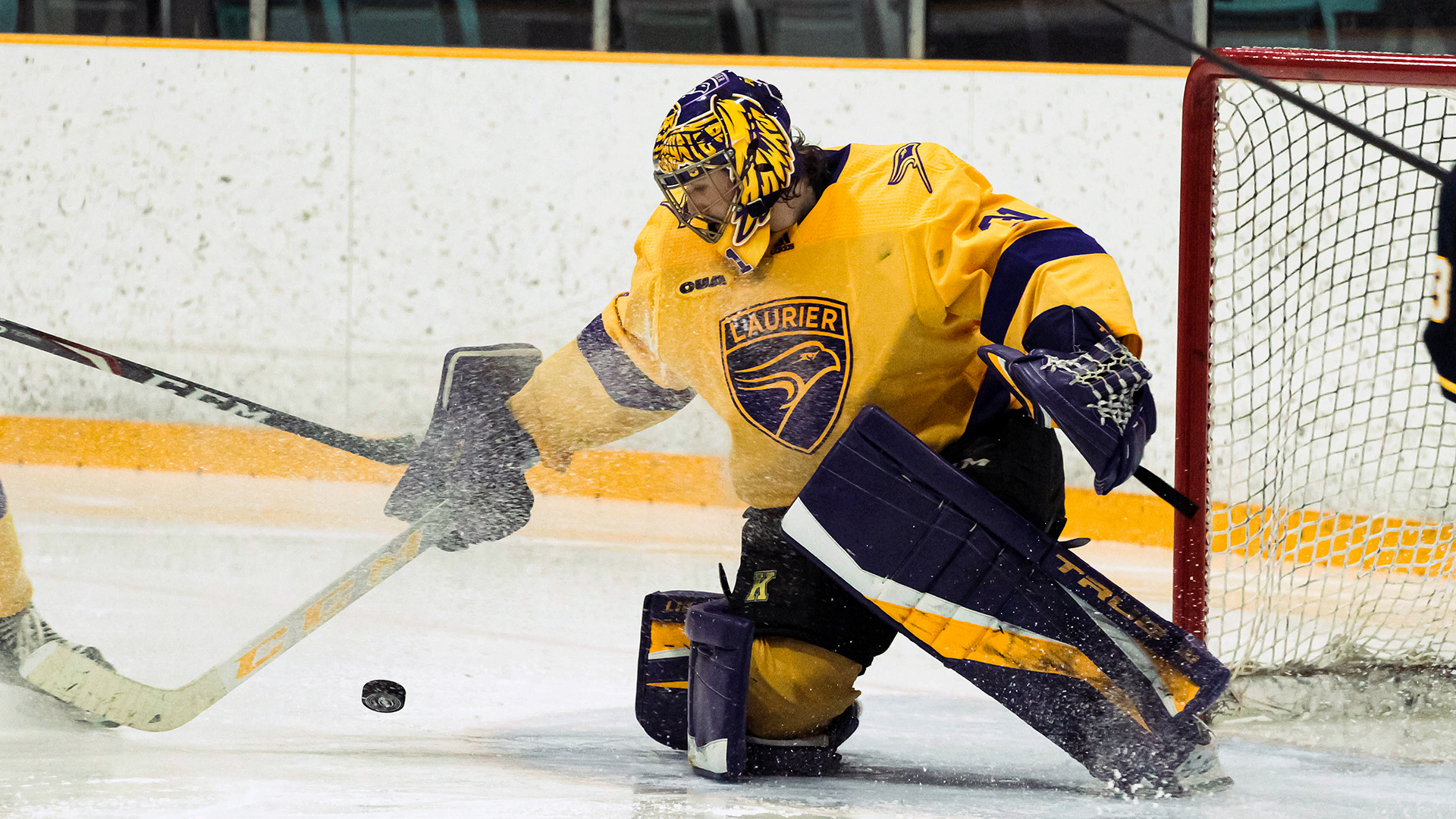 Christian Propp - 2023-24 - Men's Ice Hockey - Laurier Athletics ...