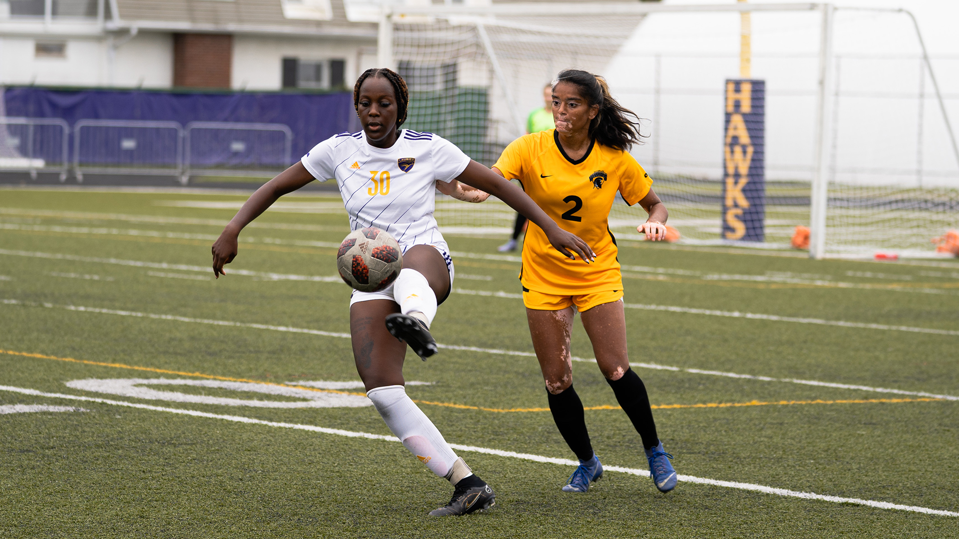 Golden Hawks sweep weekend Battle of Waterloo - Laurier Athletics ...