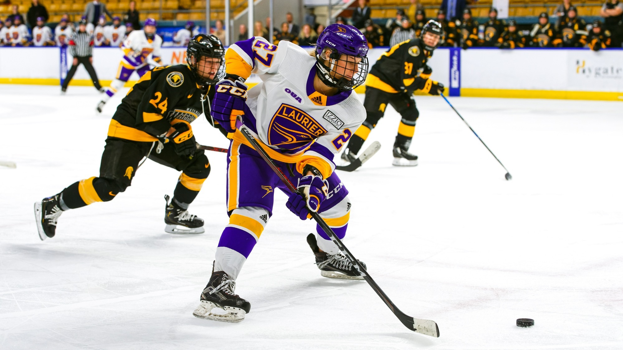 Golden Hawks edged in OT by #8-ranked Warriors - Laurier Athletics ...