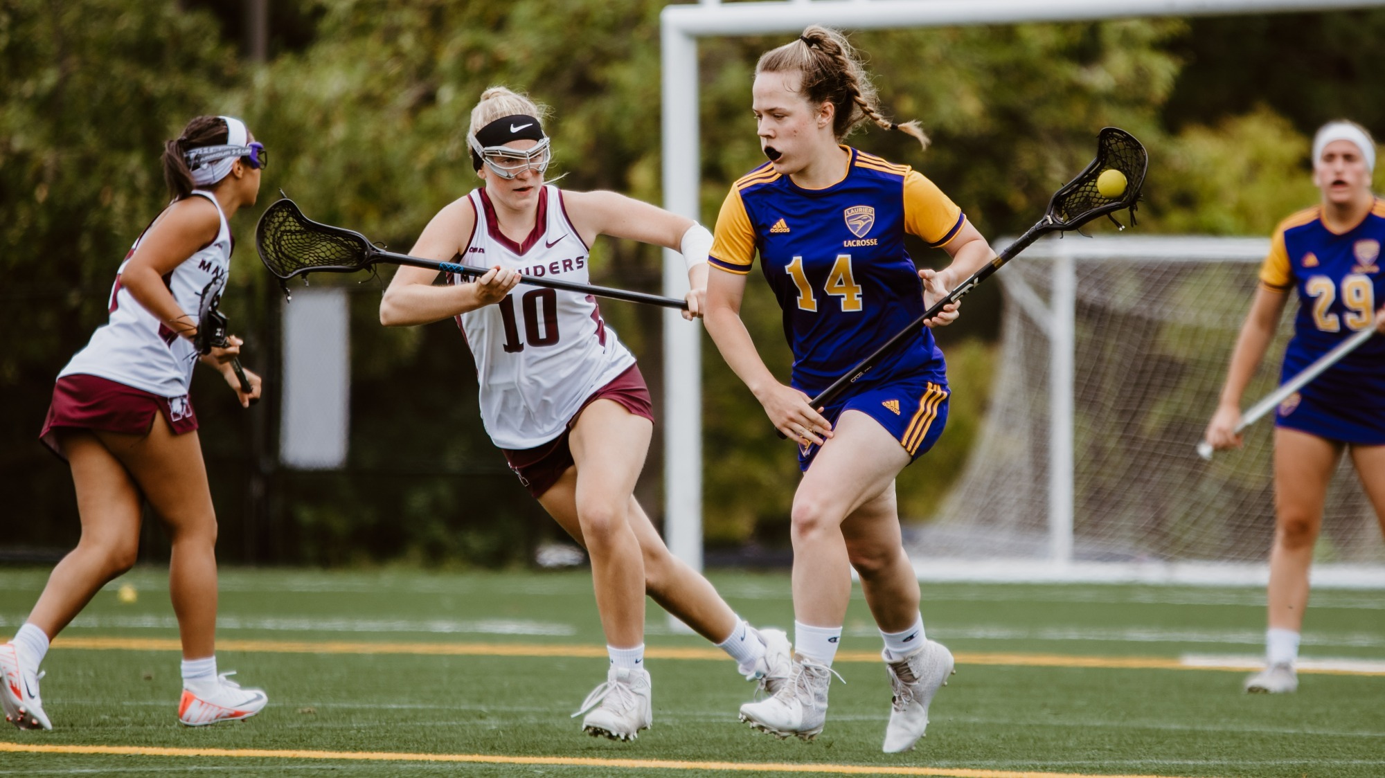 Golden Hawk Sophia Storer to represent upstart Portuguese women's ...