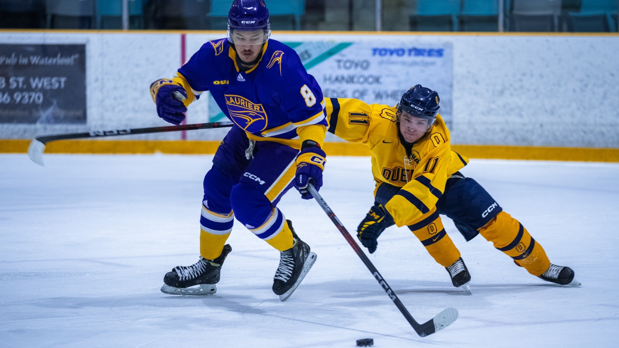 Golden Hawks knock off #10 Queen's on Senior Night - Laurier Athletics ...