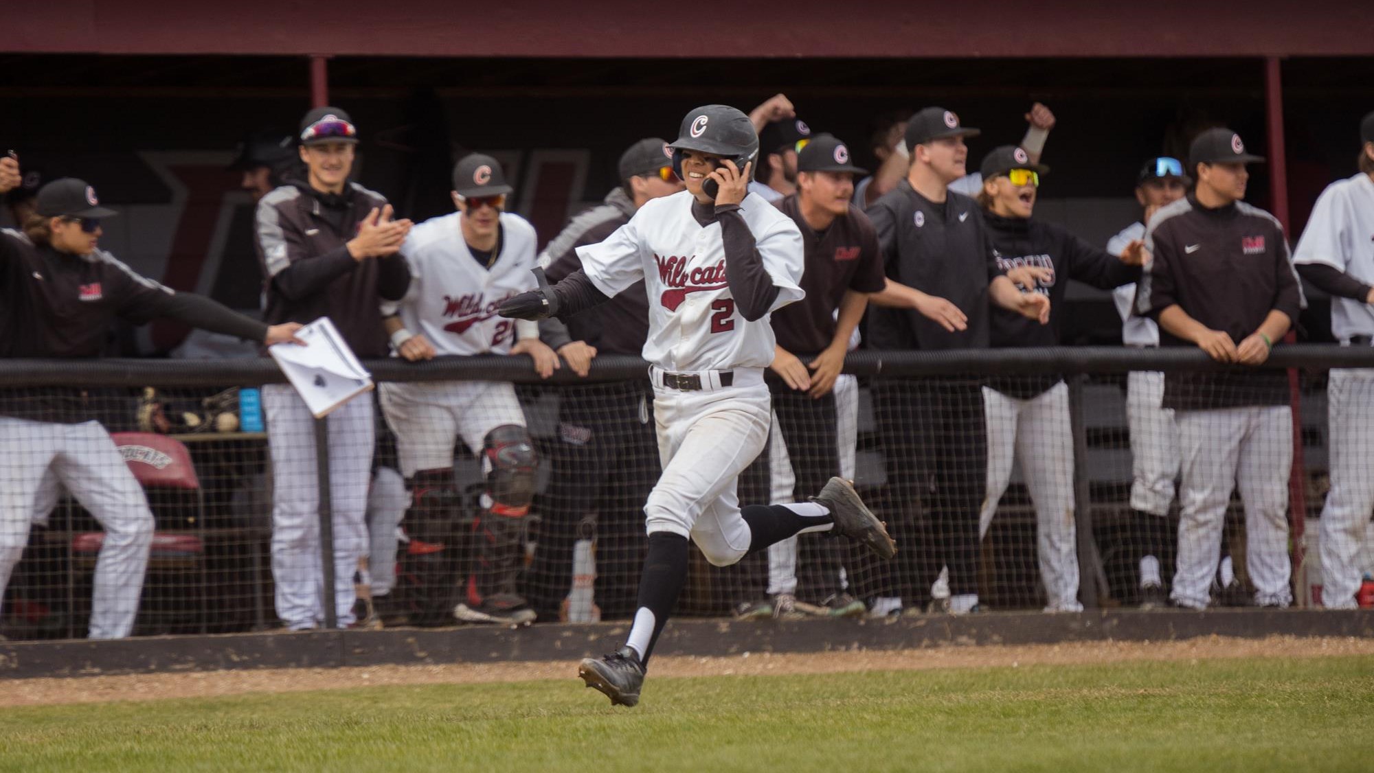Trevor Tripoli - Baseball - Central Washington University Athletics