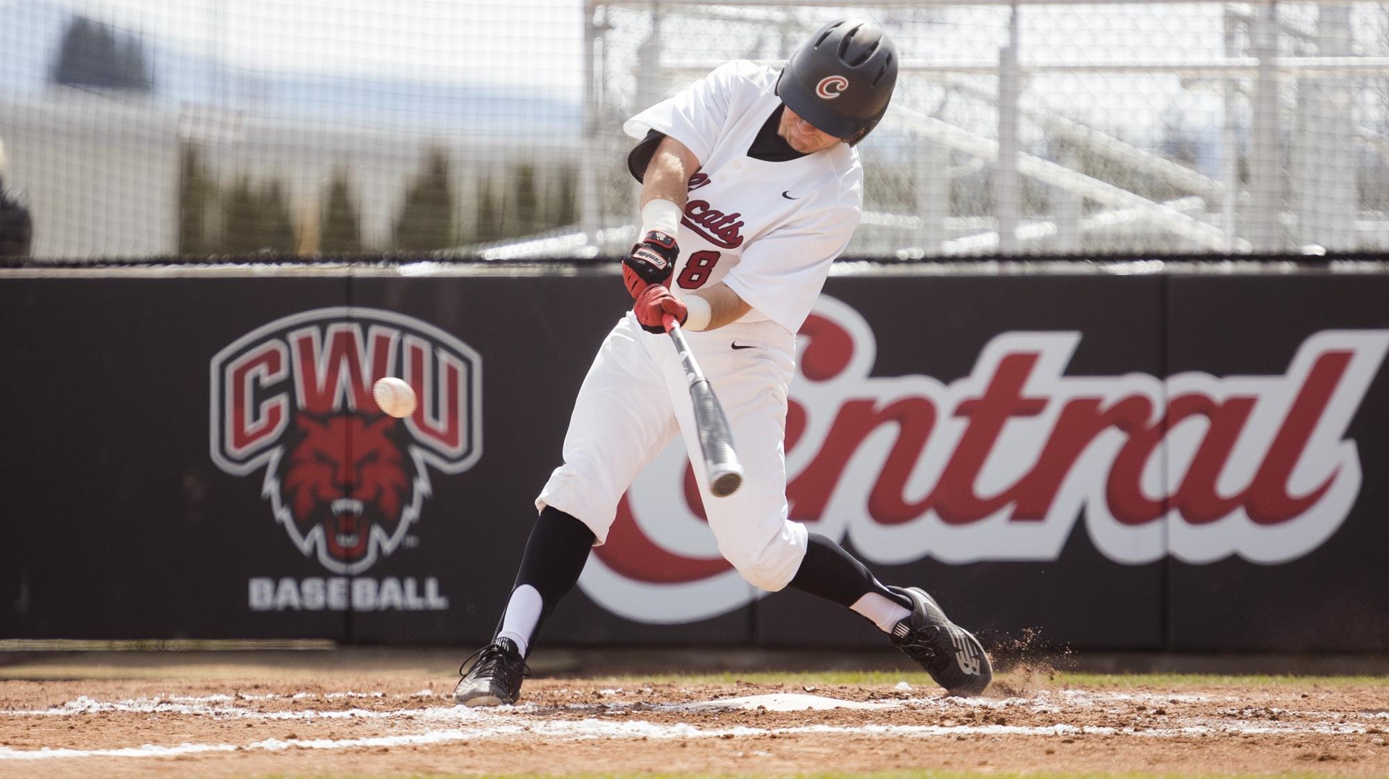 Michael Peter - Baseball - Central Washington University Athletics