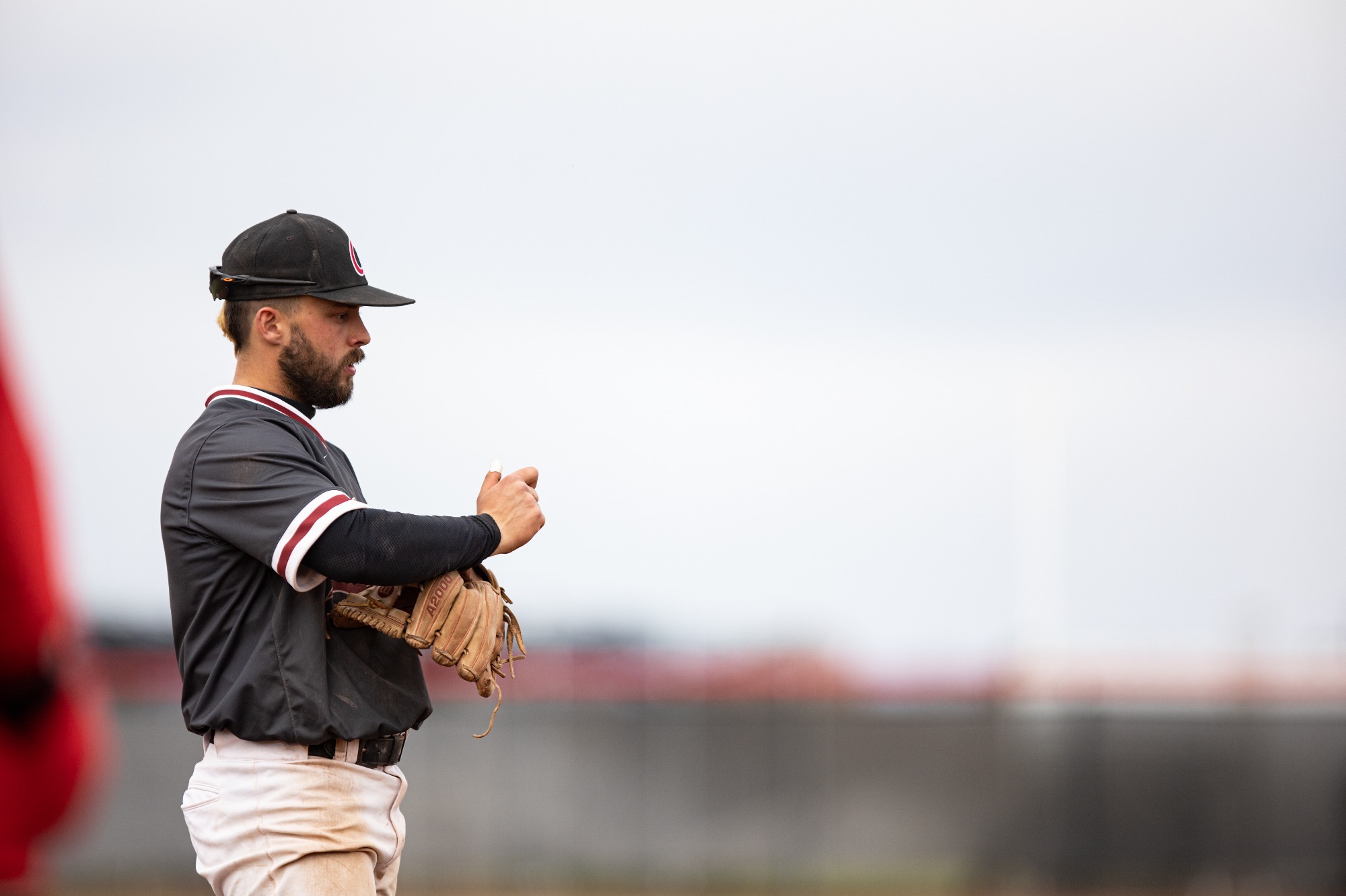 ‘Cats Defeated by Nighthawks in Game One of the GNAC Tournament ...