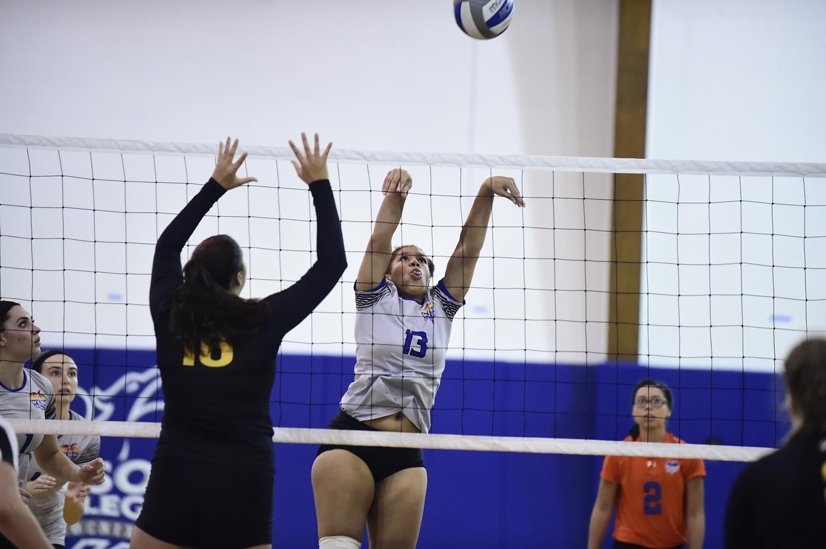 Stephanie Pleasant - Women's Volleyball - Wilson College Athletics