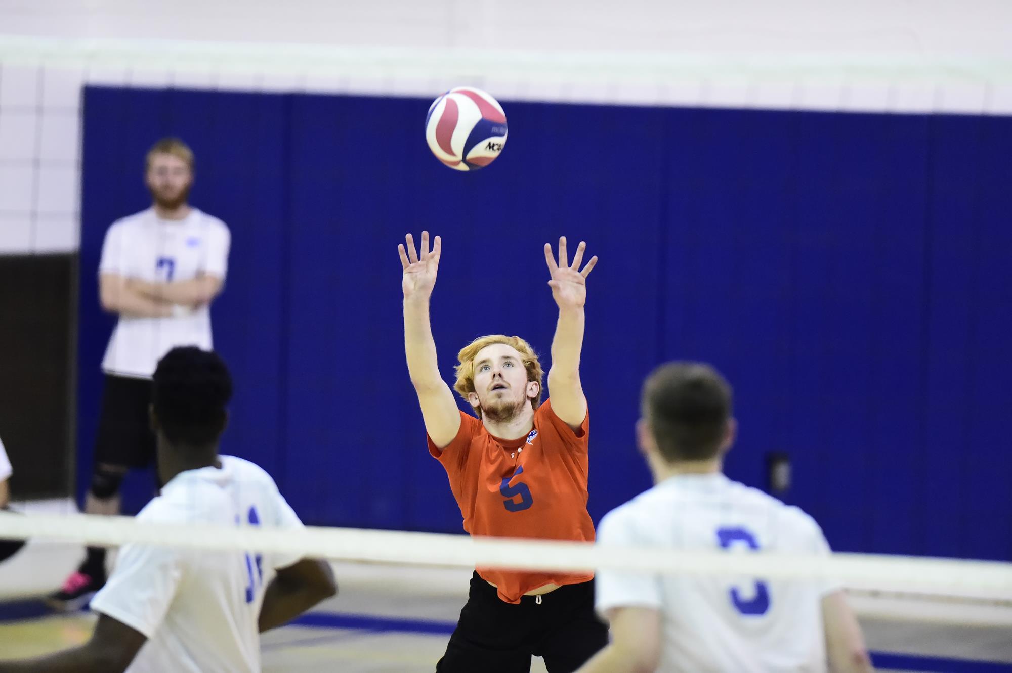 Evan Hoke - Men's Volleyball - Wilson College Athletics