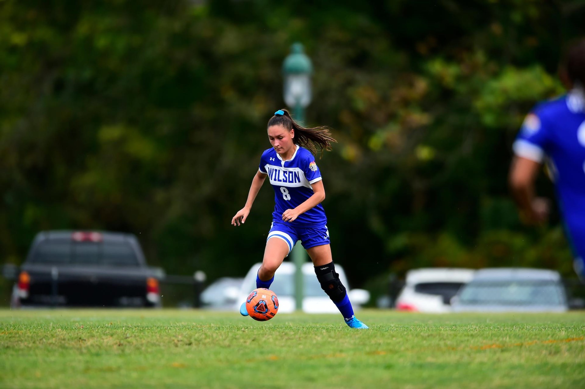 Lions Blank Phoenix - Wilson College Athletics