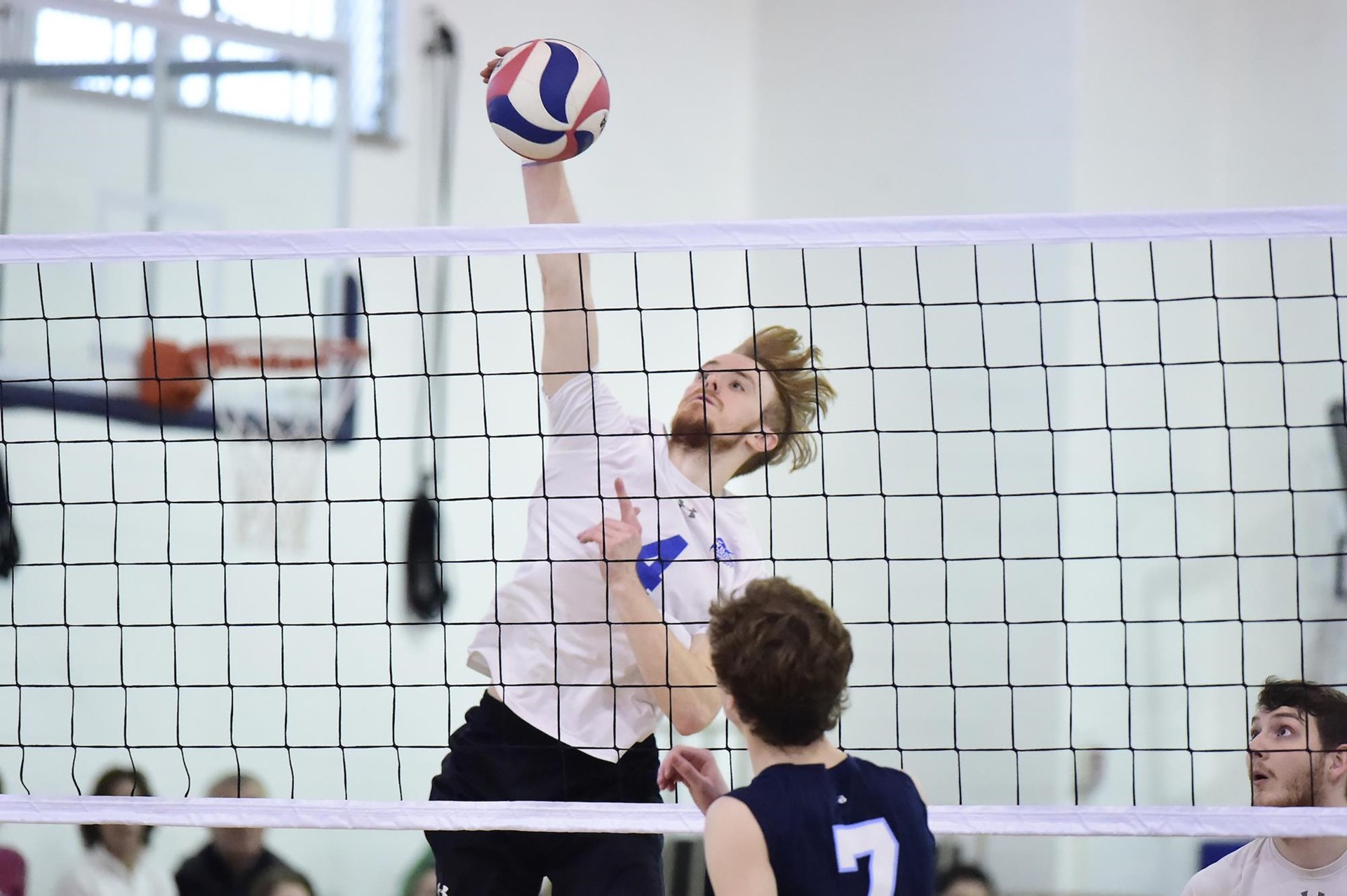 Aaron Hoke - Men's Volleyball - Wilson College Athletics