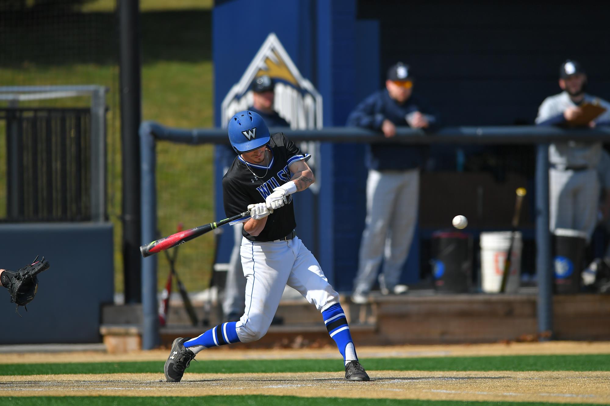 Brandon Cook - Baseball - Wilson College Athletics