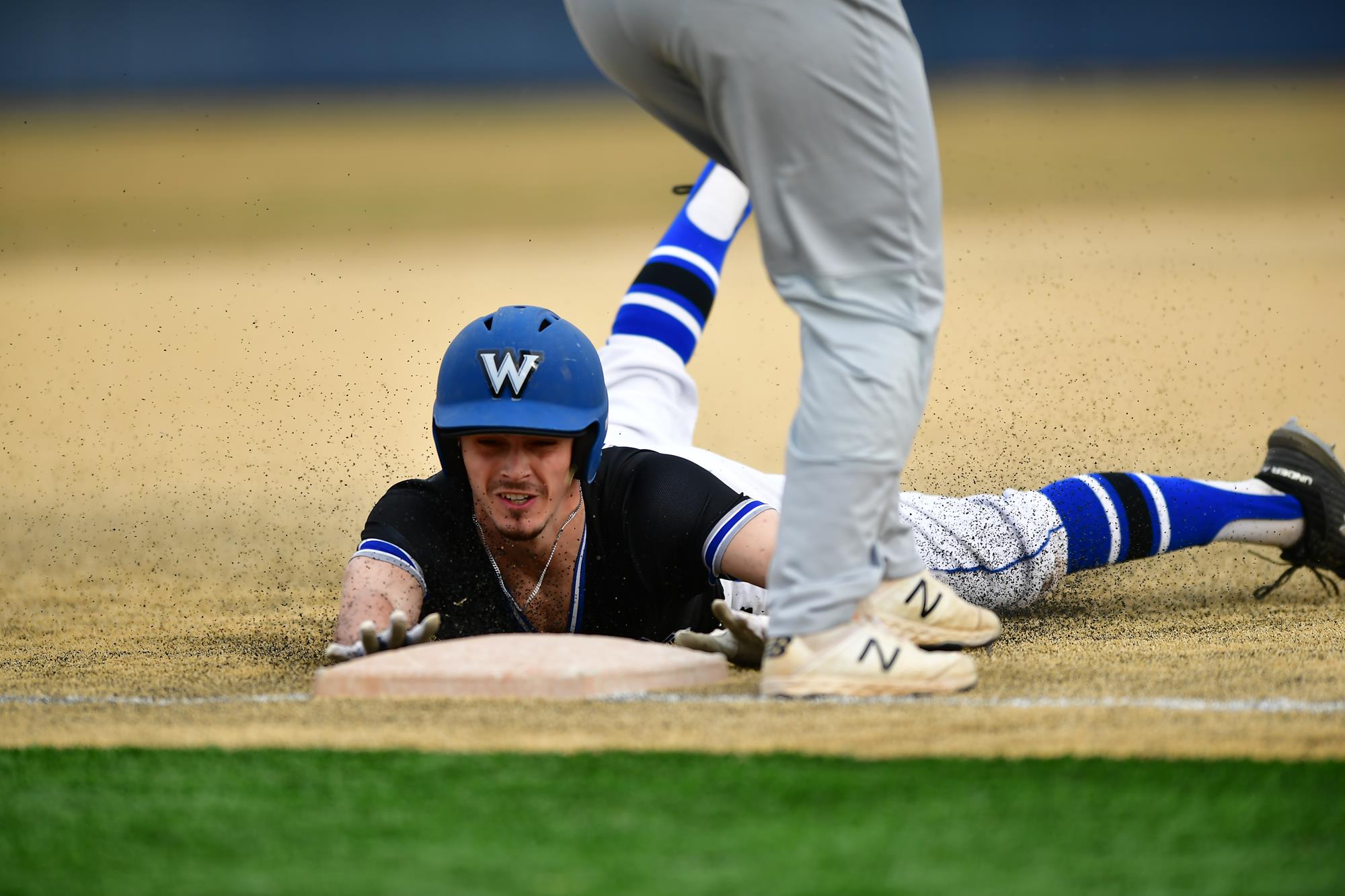 Brandon Cook - Baseball - Wilson College Athletics