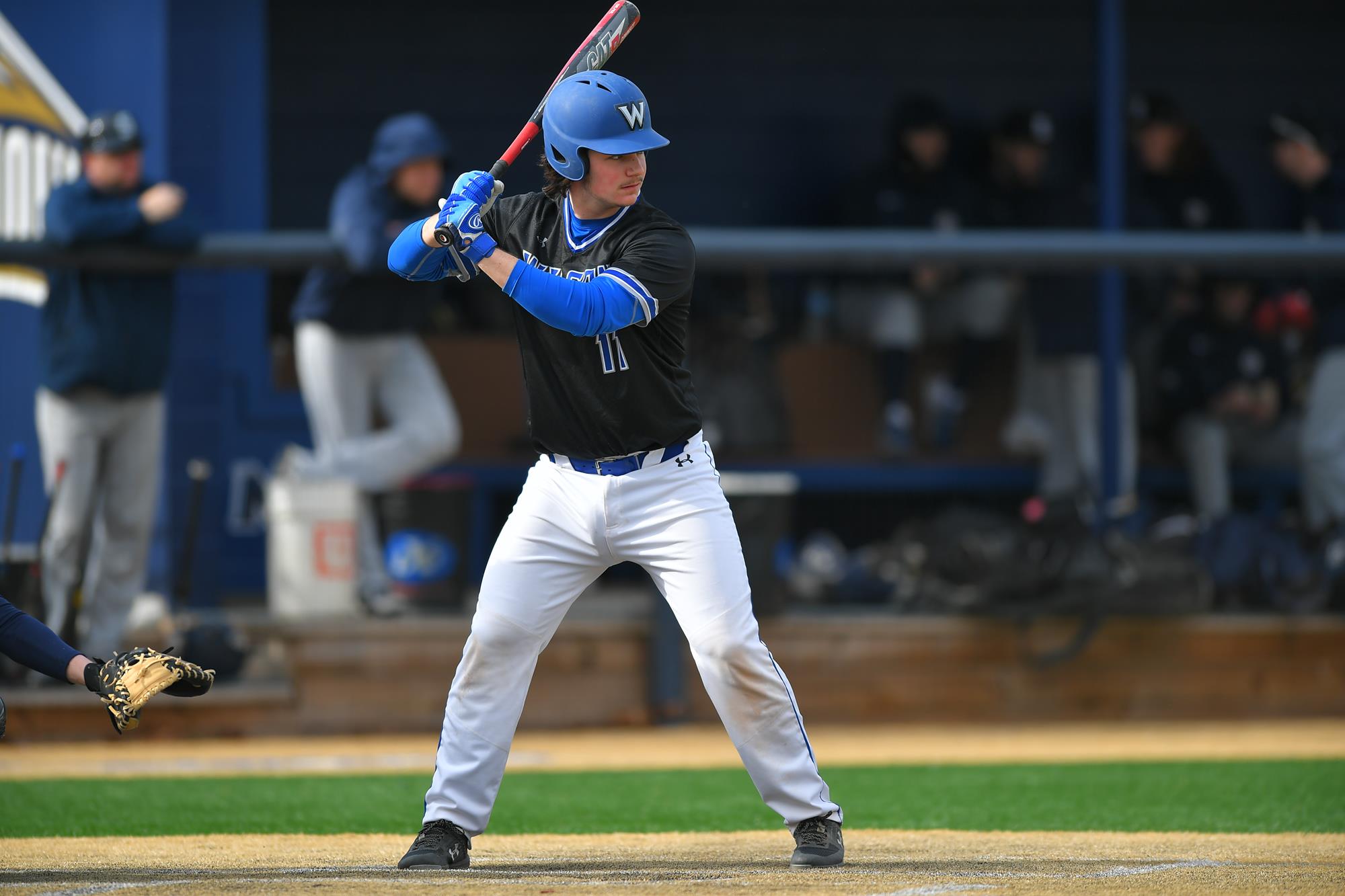 Kevin Finn - Baseball - Wilson College Athletics