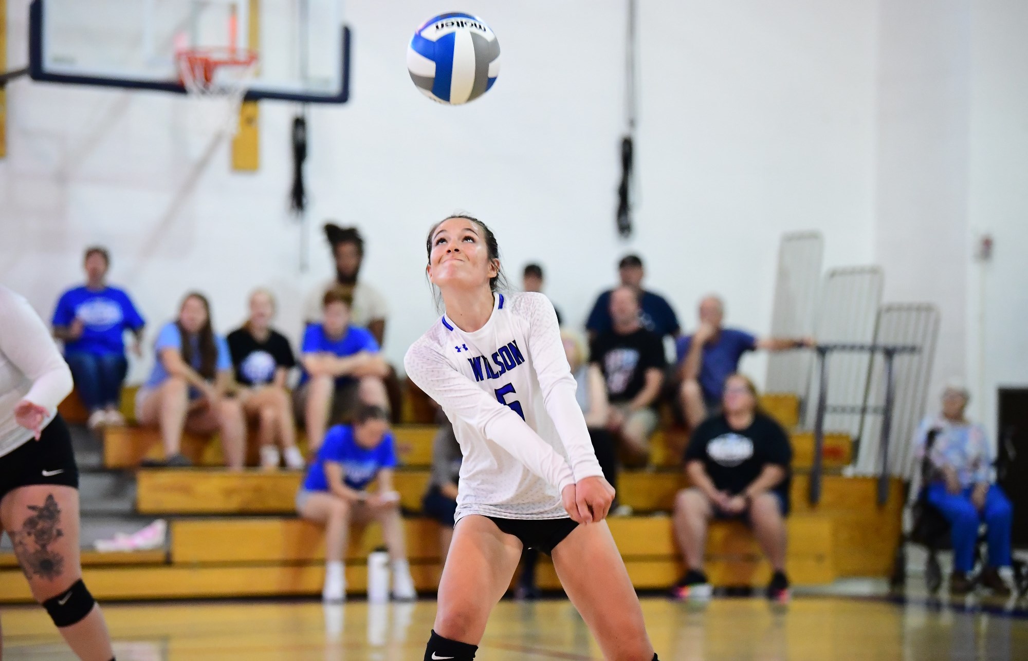 Women's Volleyball Falls In Upset Bid at Keystone - Wilson College ...