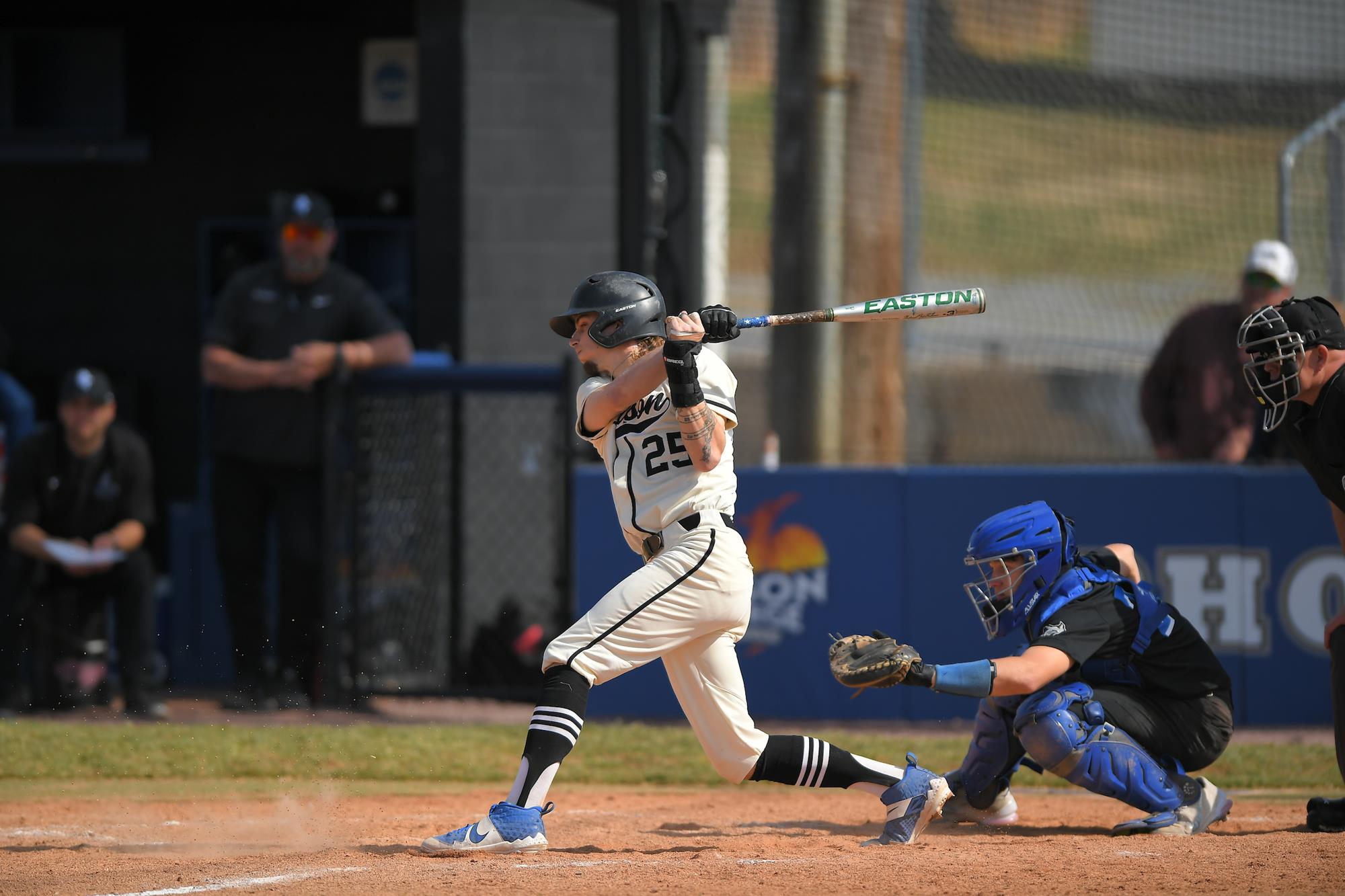 Brandon Cook - Baseball - Wilson College Athletics