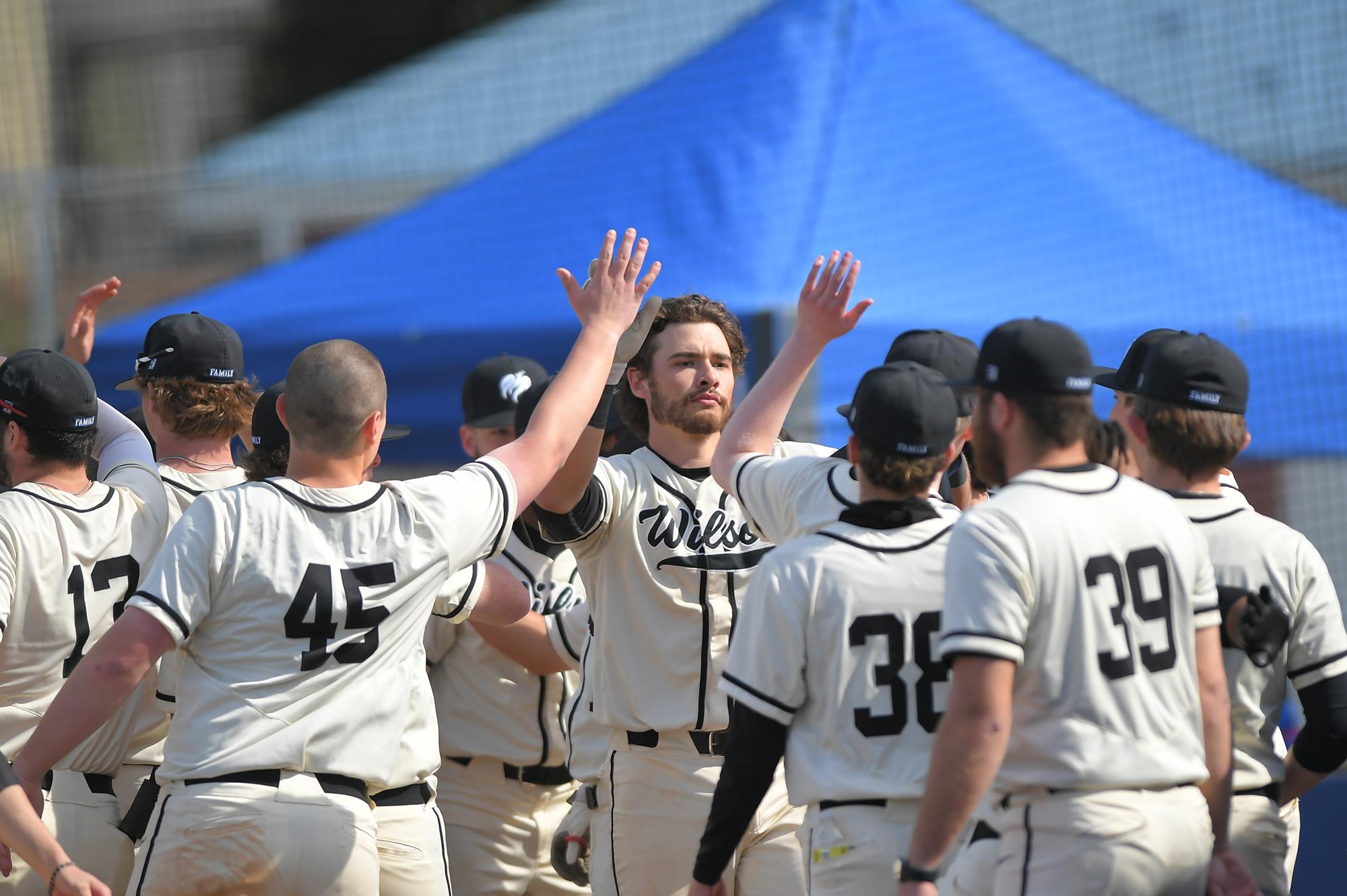 Phoenix Pummel Panthers - Wilson College Athletics