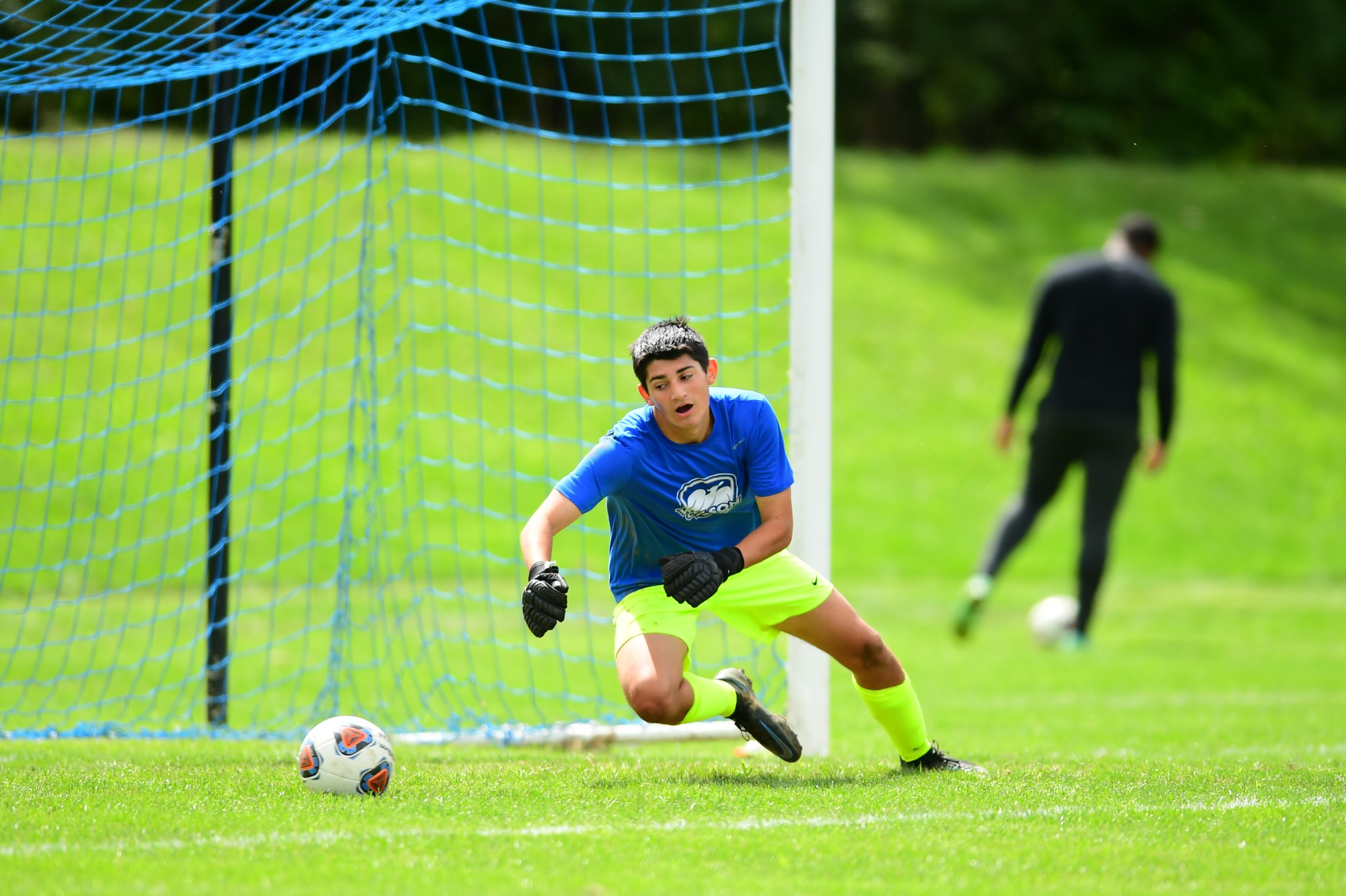 Lions Lead Phoenix - Wilson College Athletics