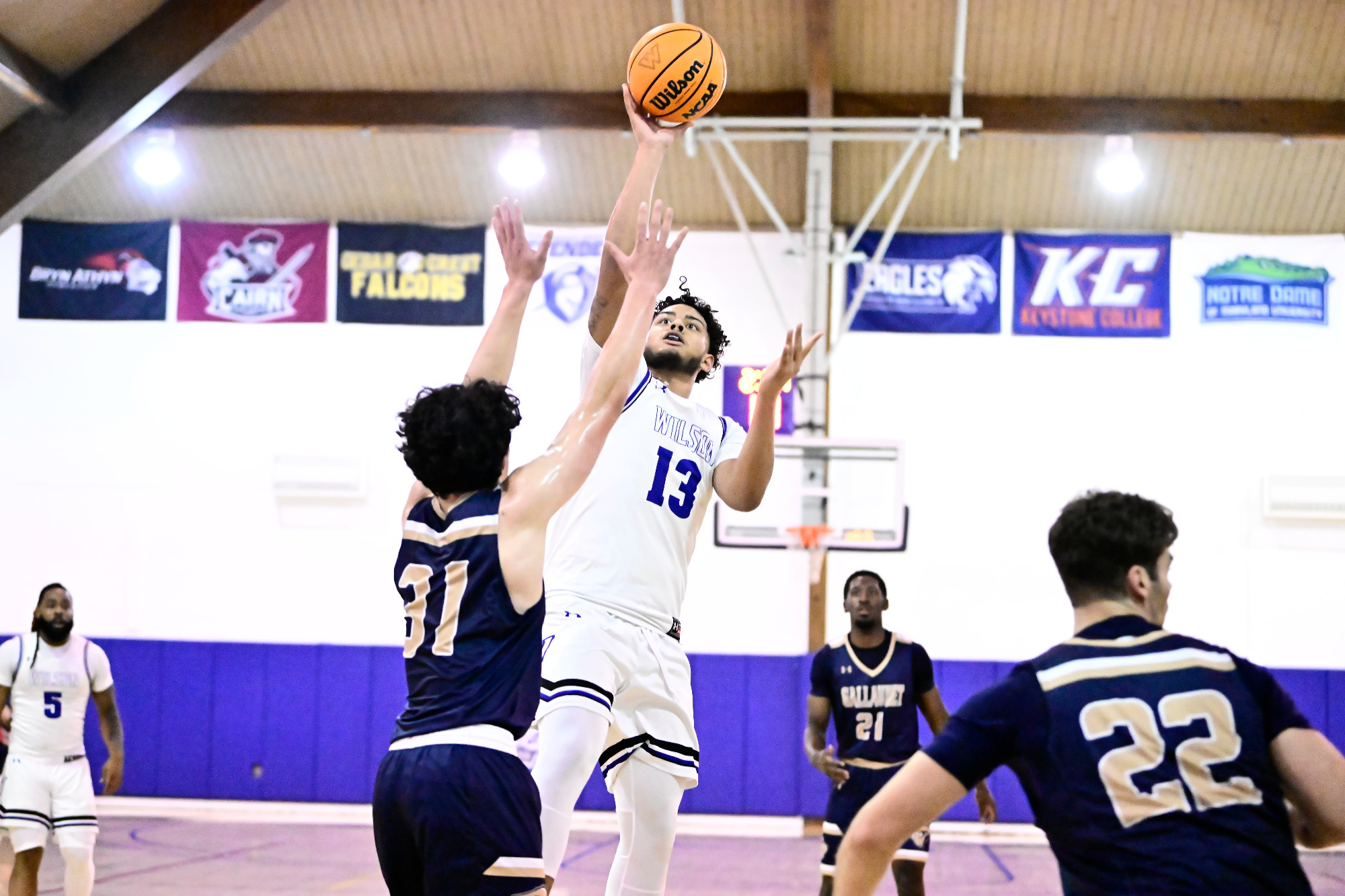 Garib's 32 Leads Phoenix Over Lions - Wilson College Athletics