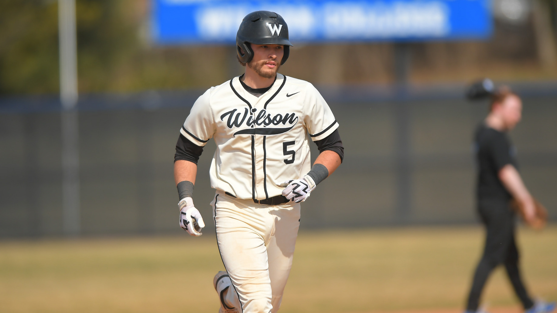 Michael Marrale - Baseball - Wilson College Athletics