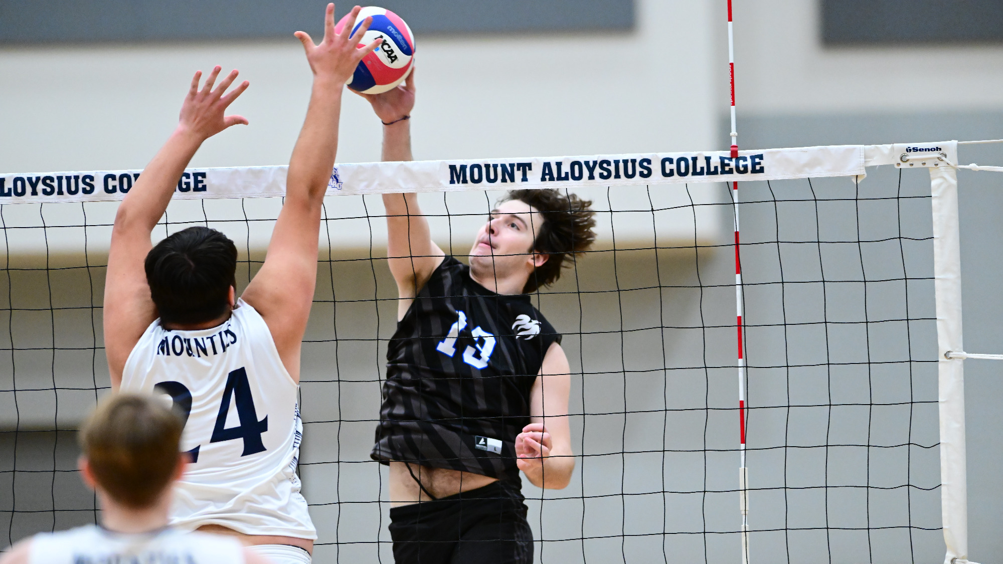 Men's Volleyball Falls at Chatham - Wilson College Athletics