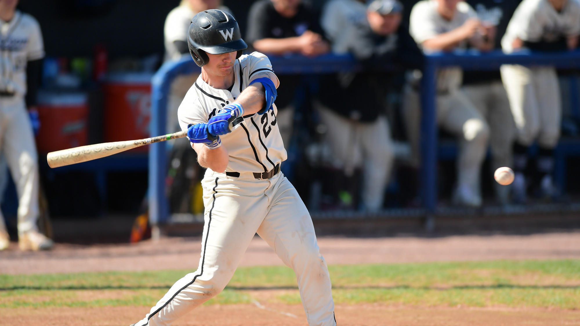 Peyton Taylor - Baseball - Wilson College Athletics