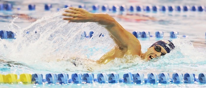 Dylon Johnson - Men's Swimming - Wingate University Athletics