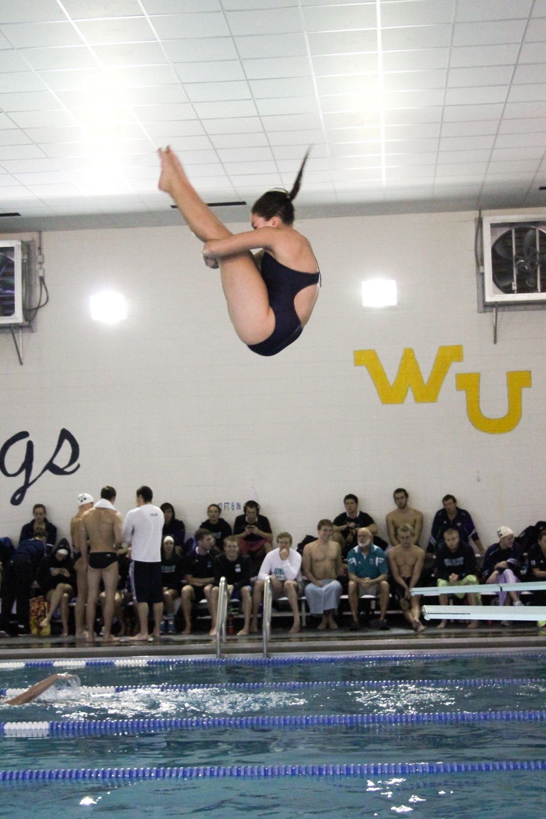 Gillian McLean - Women's Swimming - Wingate University Athletics
