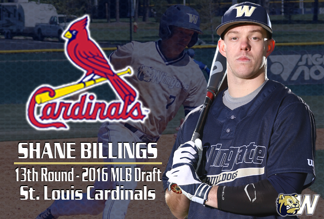 Shane Billings drafted by St. Louis Cardinals in 13th round of MLB ...