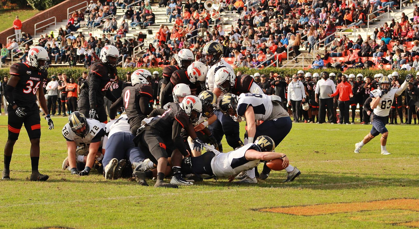 Dylan Williams - Football - Wingate University Athletics