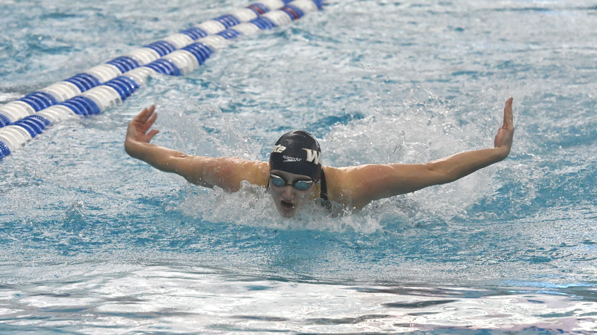 Maike Hoener - Women's Swimming - Wingate University Athletics