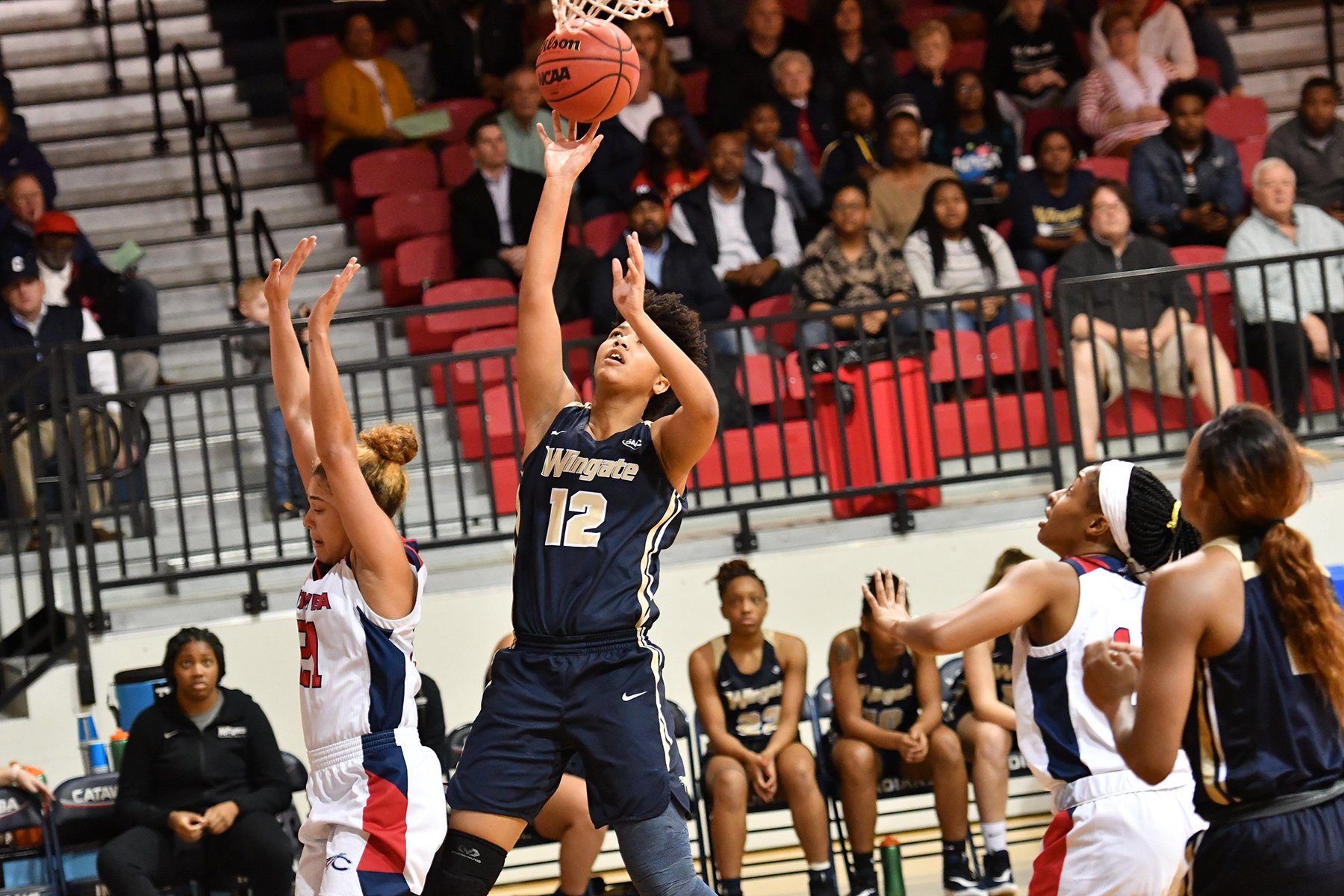 Bryanna Troutman - Women's Basketball - Wingate University Athletics