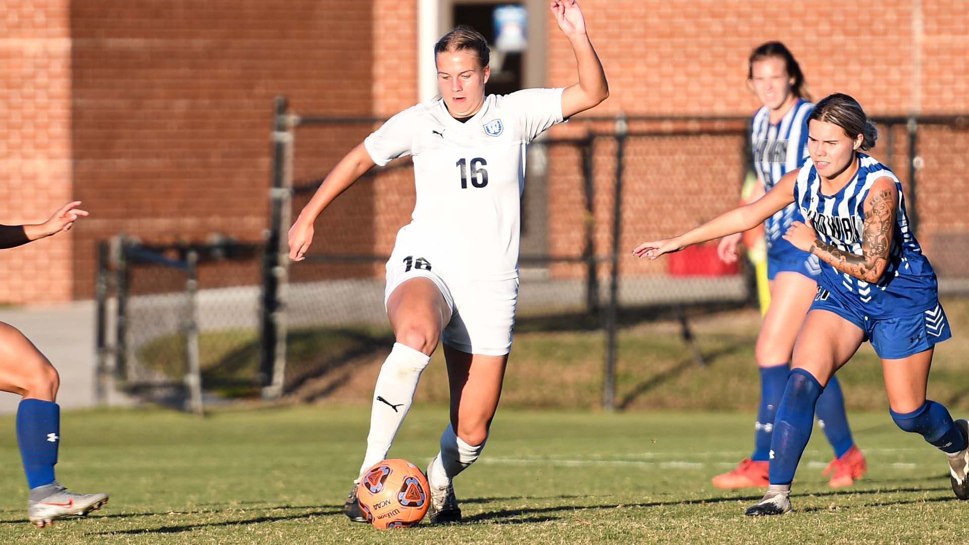Sophia Husted - Women's Soccer - Wingate University Athletics