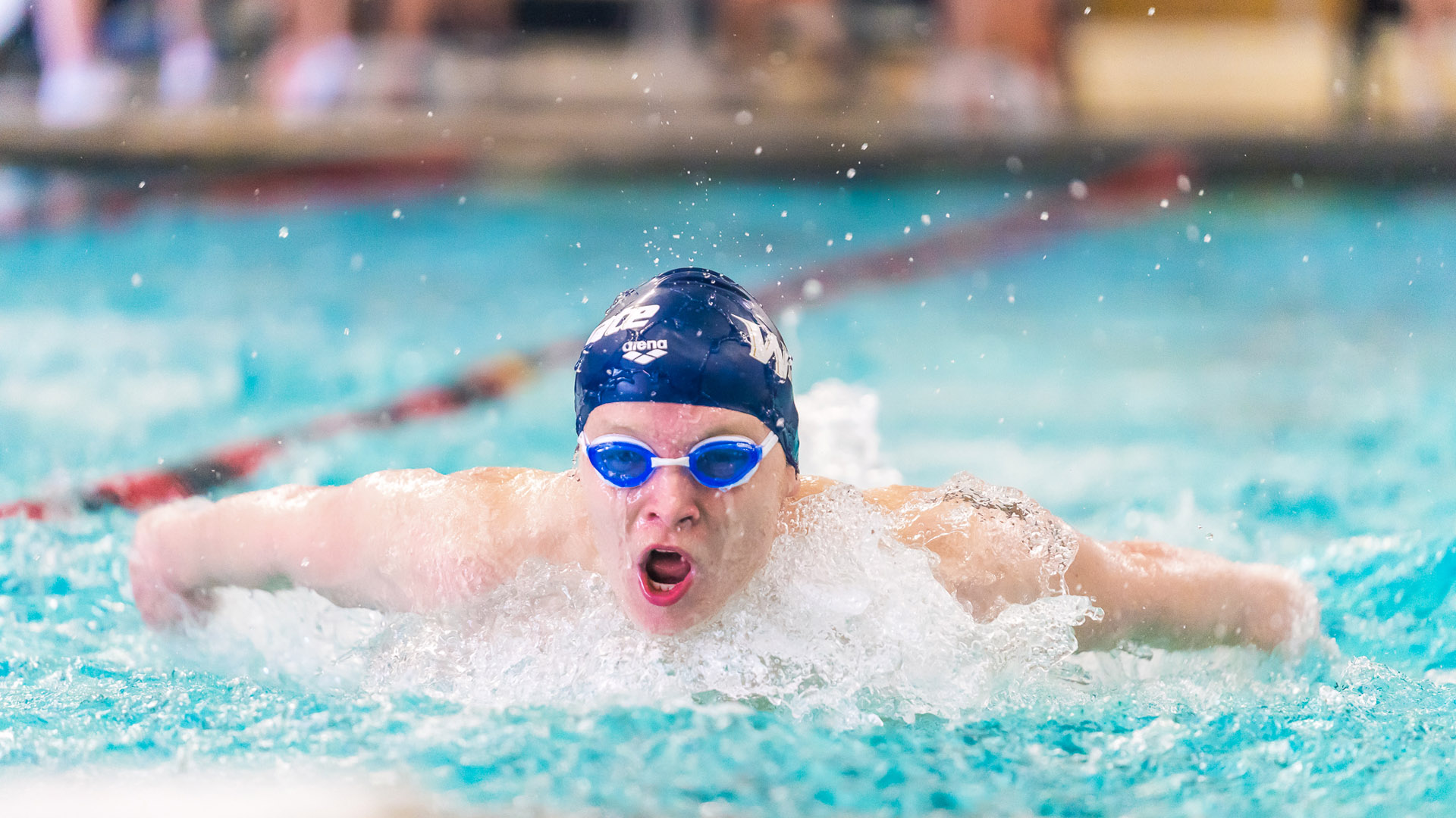 Casey Mitchell - Men's Swimming - Wingate University Athletics