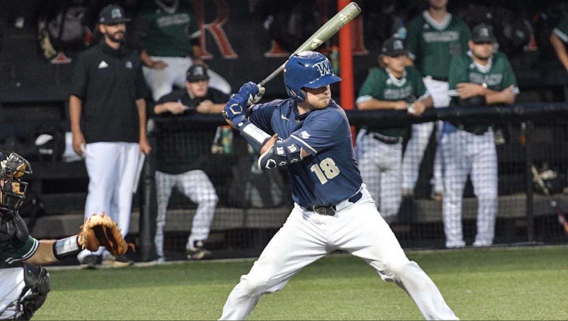 Logan McNeely - Baseball - Wingate University Athletics