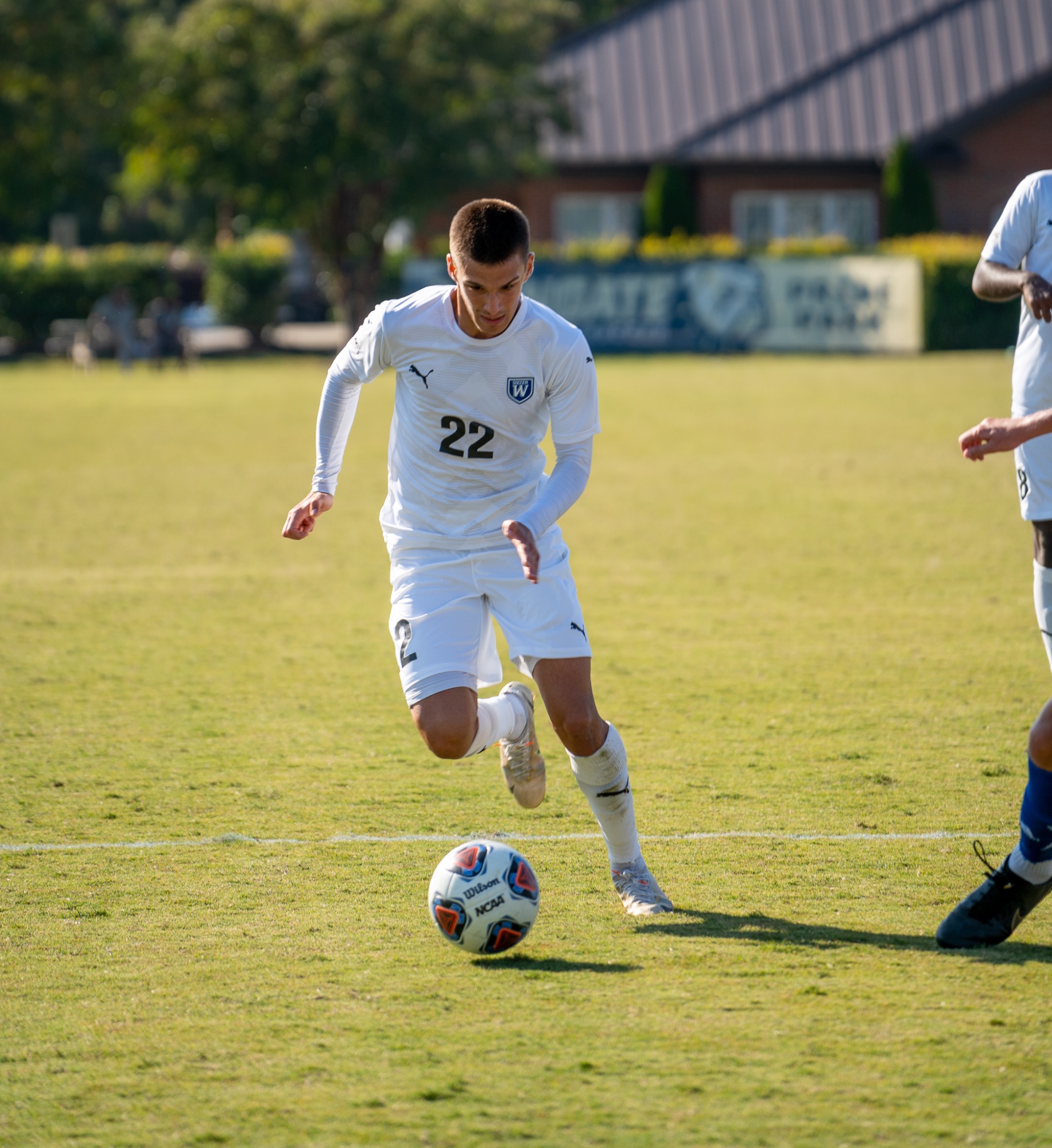 Aleksa Bogicevic - Men's Soccer - Wingate University Athletics