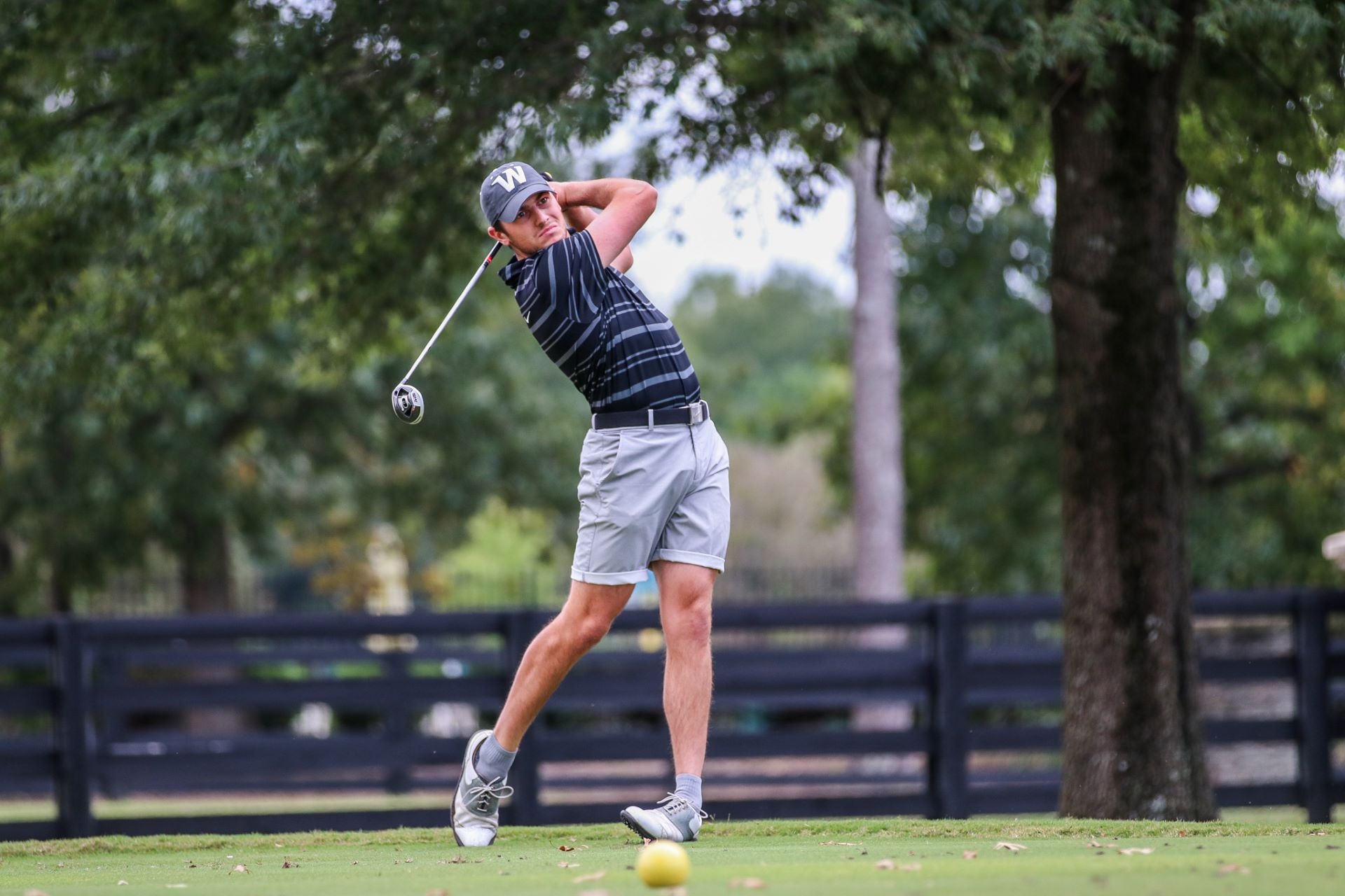 Colin Dutton - Men's Golf - Wingate University Athletics