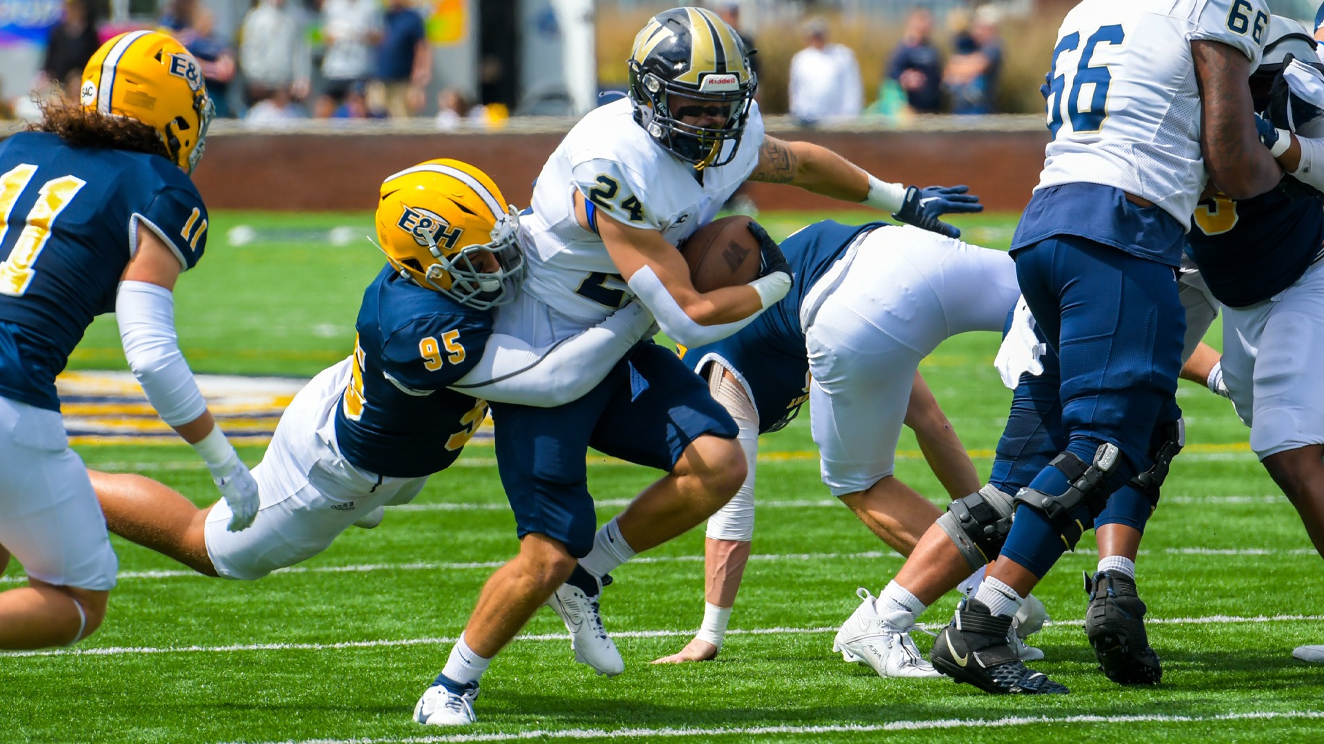 Bulldogs roll to 31-10 road victory over Wasps - Wingate University ...