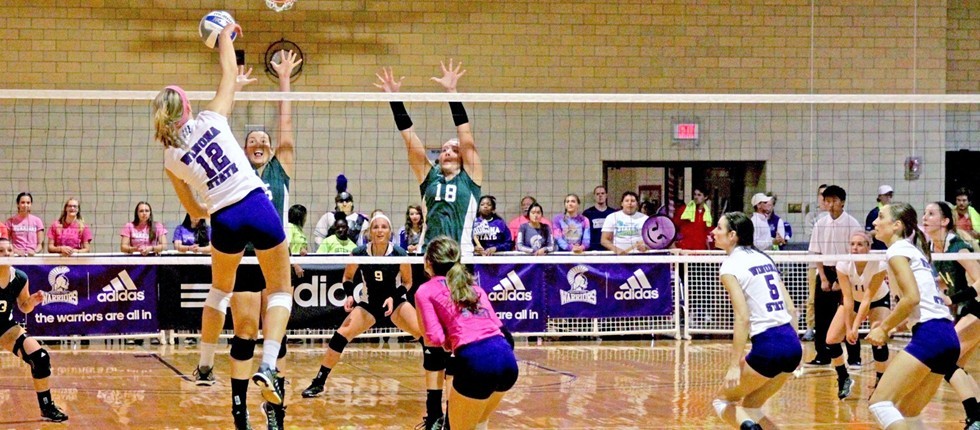 Danielle Rampart - Women's Volleyball - Winona State University Athletics