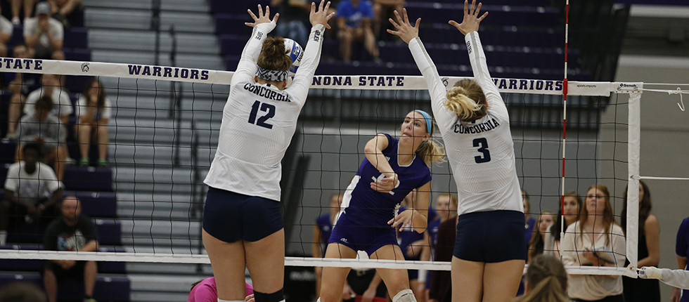 Danielle Rampart - Women's Volleyball - Winona State University Athletics