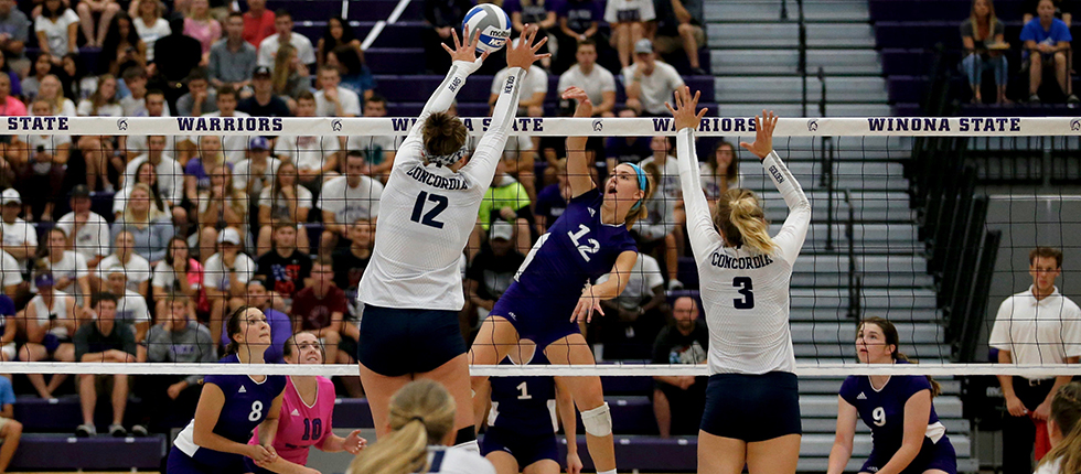 Danielle Rampart - Women's Volleyball - Winona State University Athletics