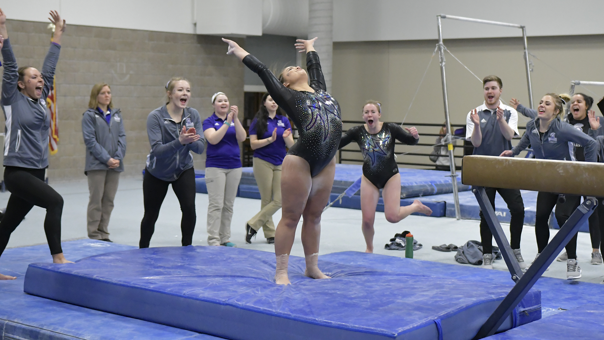 Kelly Johnston - Women's Gymnastics - Winona State University Athletics